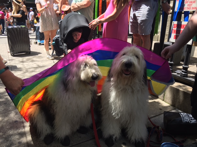 Via Trenta: Where Not to Eat in Astoria | My Intemperate Blog